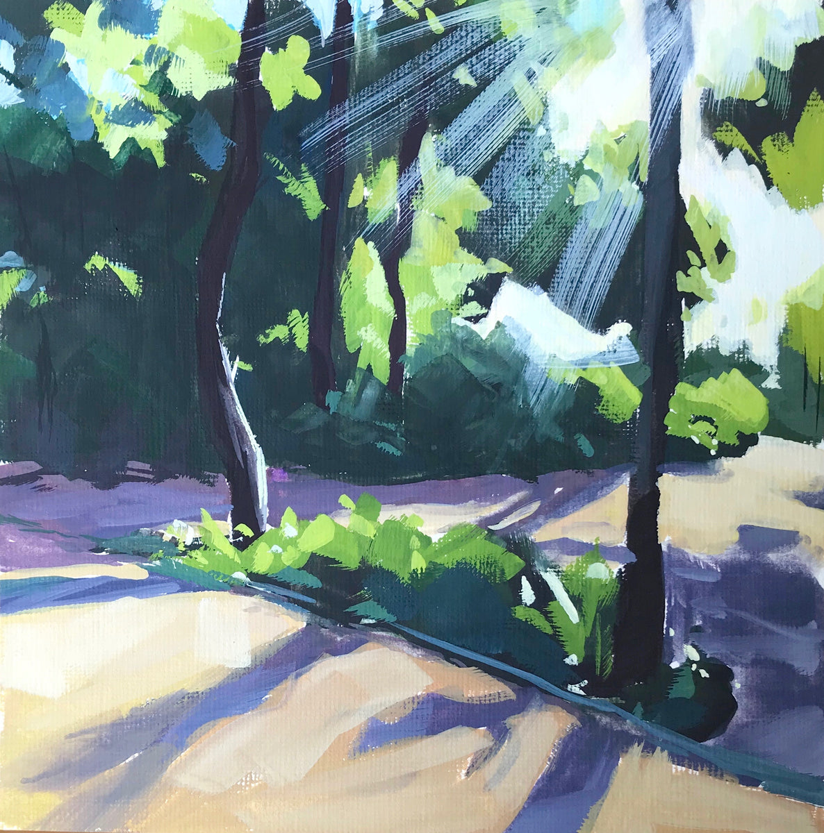 Sunlight – Sharon Schock Art